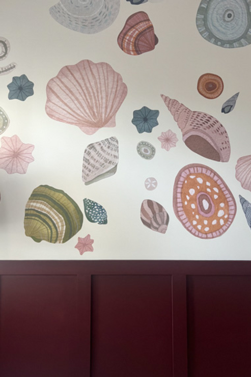 Seashell Removable Wall Stickers – KK Homewares